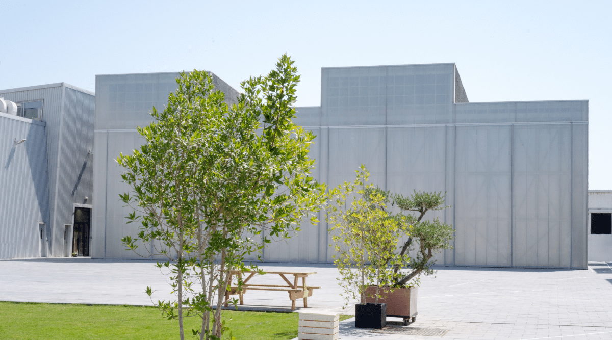 Arquitectura Minimalista: Elegancia en la Simplicidad - Constructiva